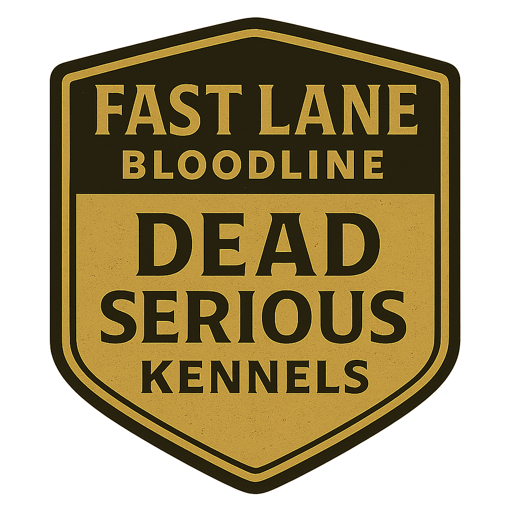 Dead Serious Kennels | Legendary GR CH Banjo Bloodline APBT Puppies